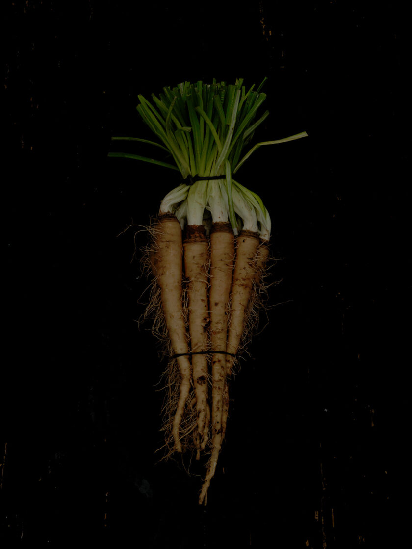 MIXTURE – Fabrique expérimentale d’images culinaires mais pas que…
